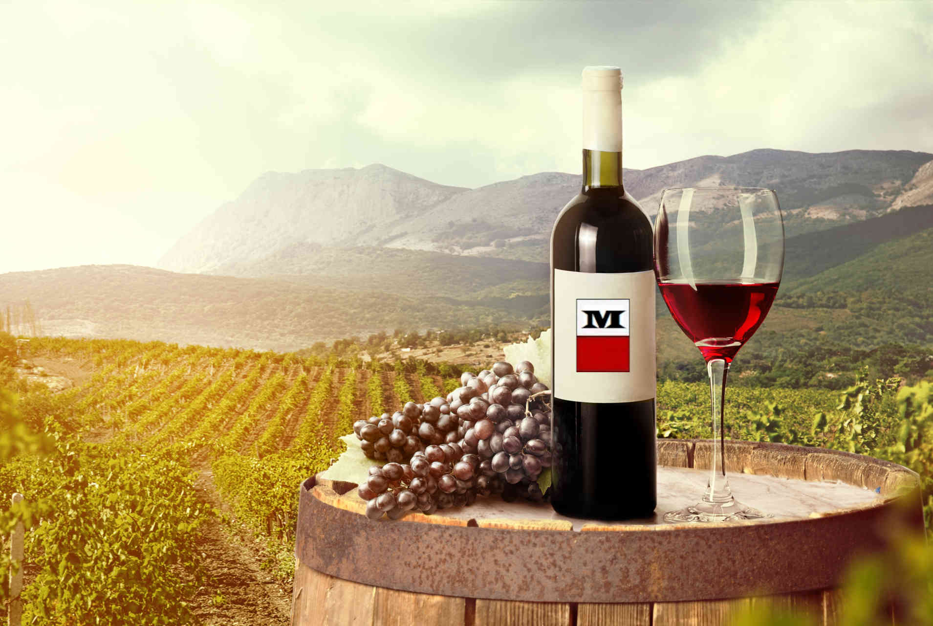 News, approfondimenti e comunicati - Monwine